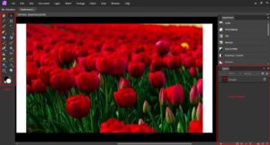 Affinity Photo Personas | A Comprehensive Guide (2025) | Edits 101