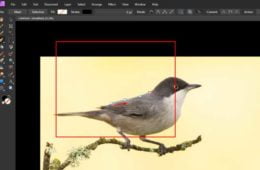 The Pen Tool in Affinity Photo | Complete Guide (2024) - Edits 101