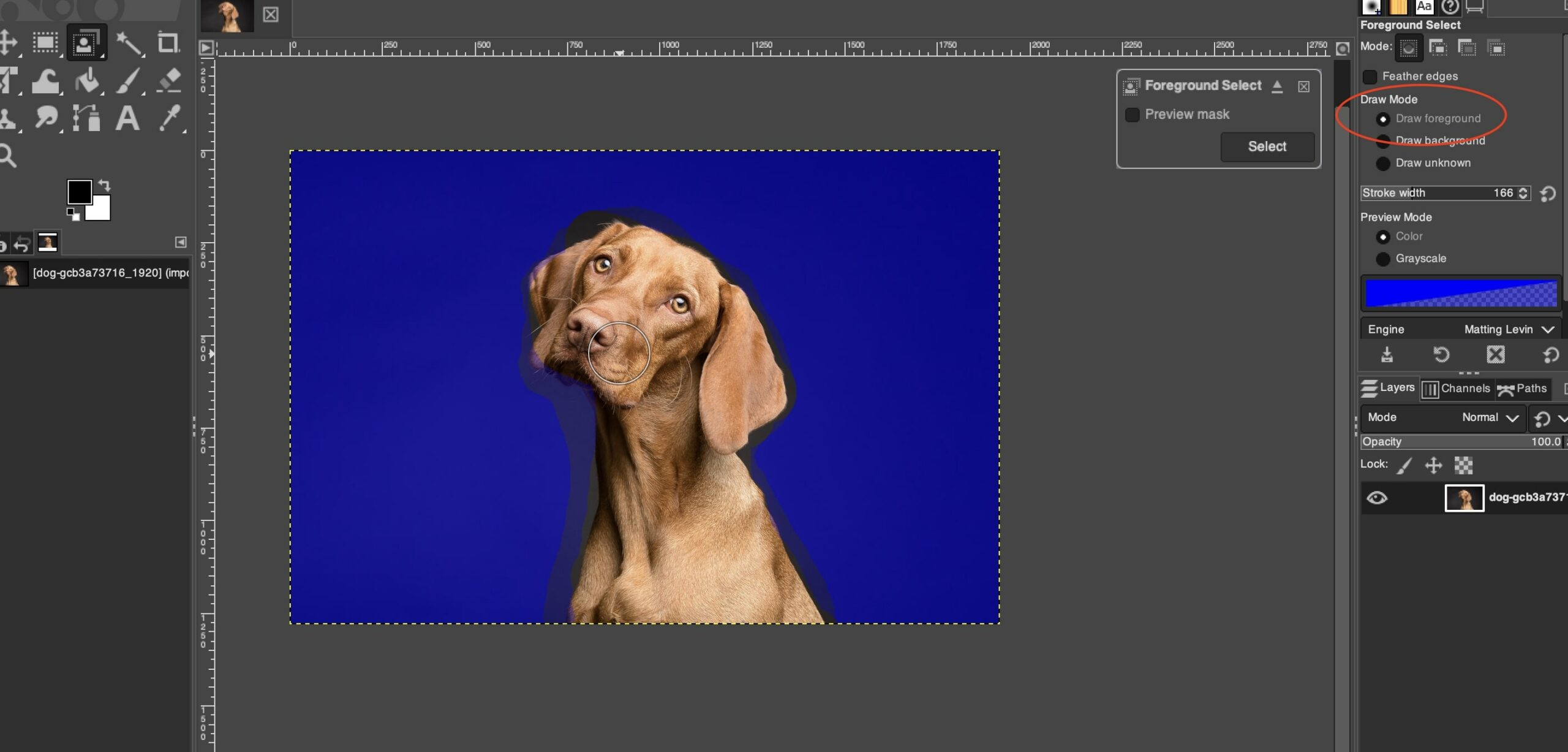 Remove Background & Make It Transparent In GIMP