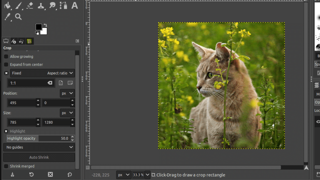 How to Crop an Image in GIMP