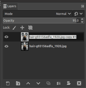 8 Tools And Features To Improve Your Images In GIMP | Edits 101
