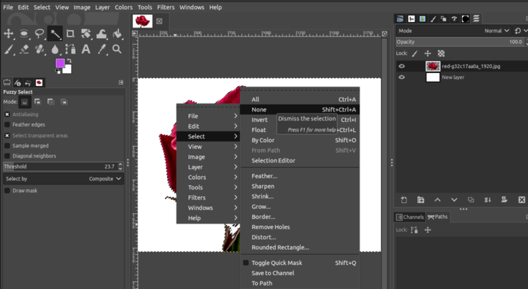 How To Vectorise An Image In GIMP (Free Methods) | Edits 101