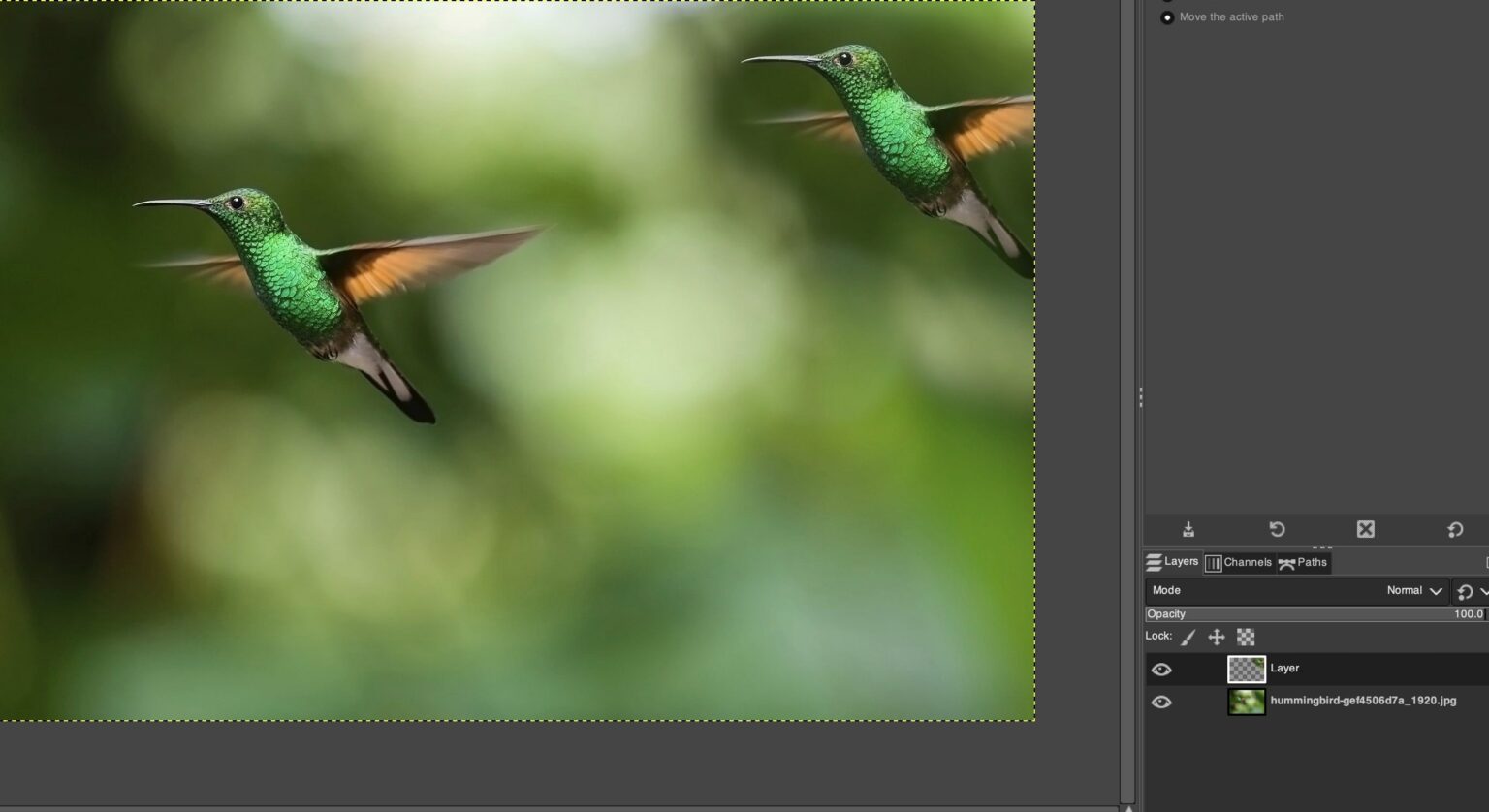 How to Use the Clone Tool in GIMP | Complete Guide | Edits 101