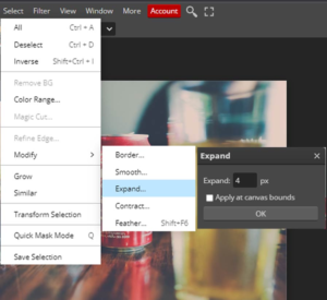 What Are Blurs & How To Use Them In Photopea? | Complete Guide | Edits 101